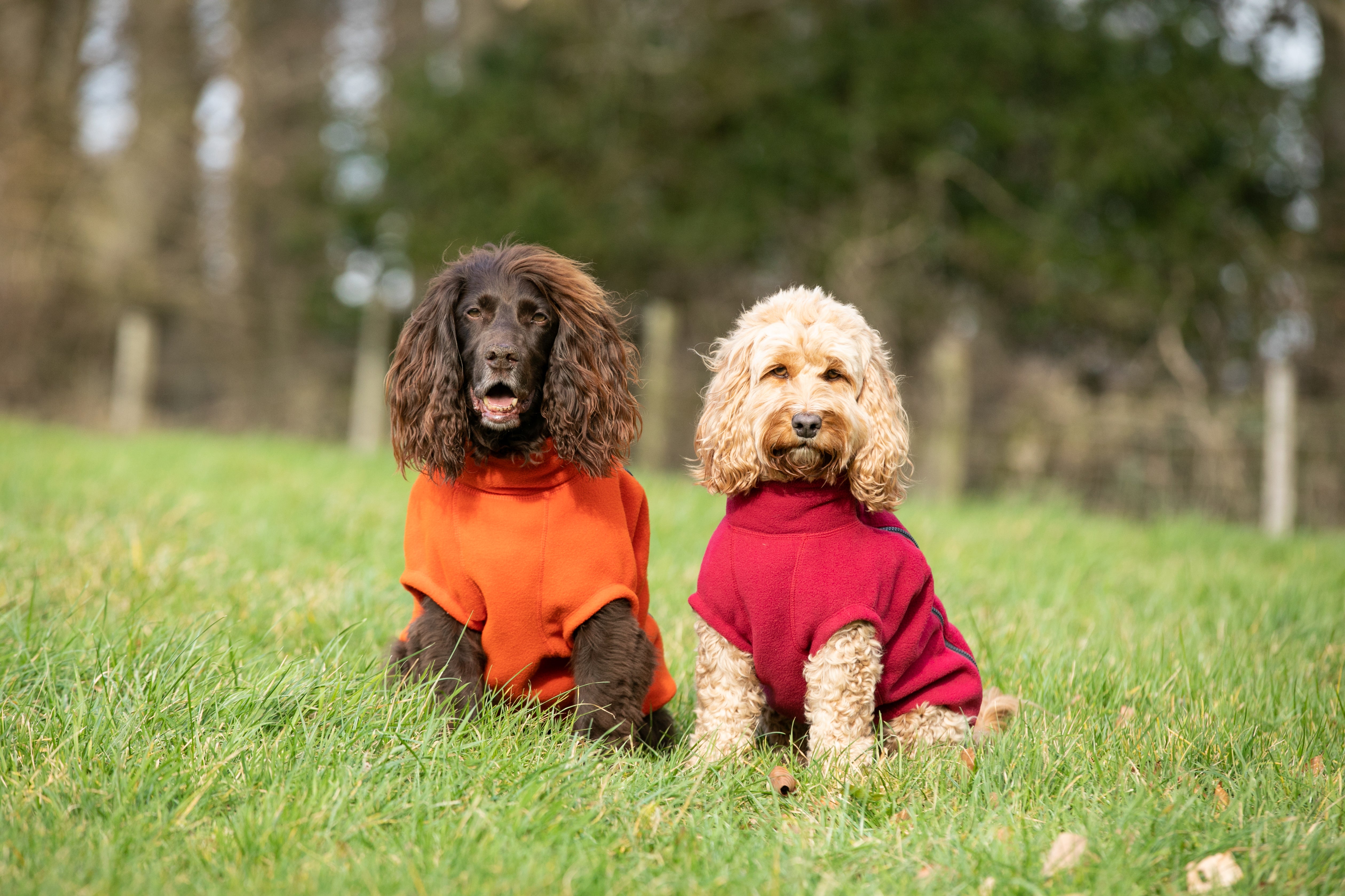 Cuddle Up in our Cosy Fleece Jackets! – Hugo & Hudson London