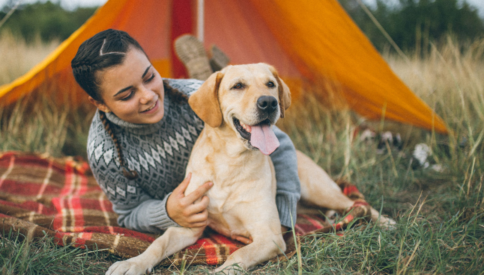 Celebrating National Camping Month: A Perfect Holiday for You and Your ...