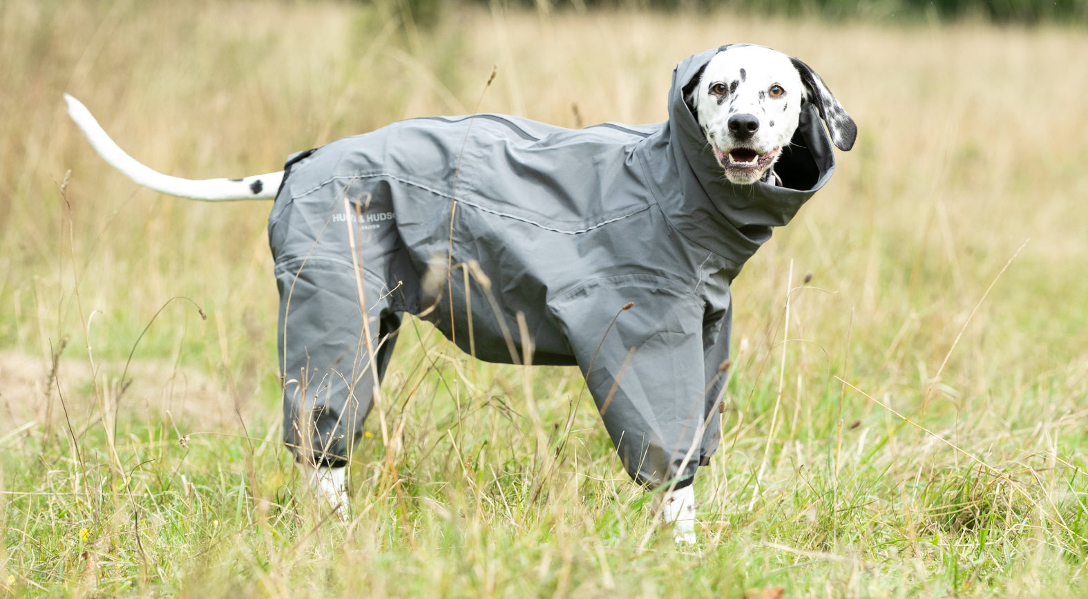 Protective Dog Overalls Jacket Coats – Hugo & Hudson London