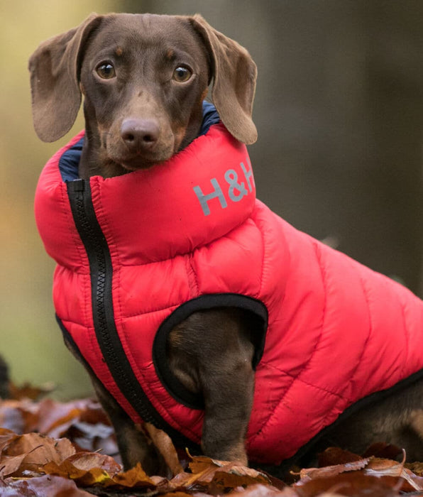 Hackett – Hugo & Hudson London