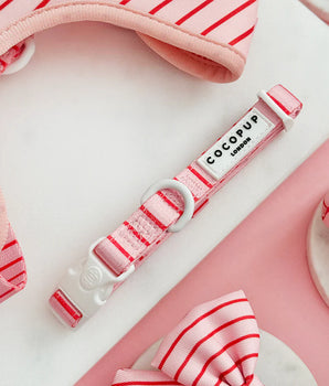 Cocopup London – Hugo & Hudson London