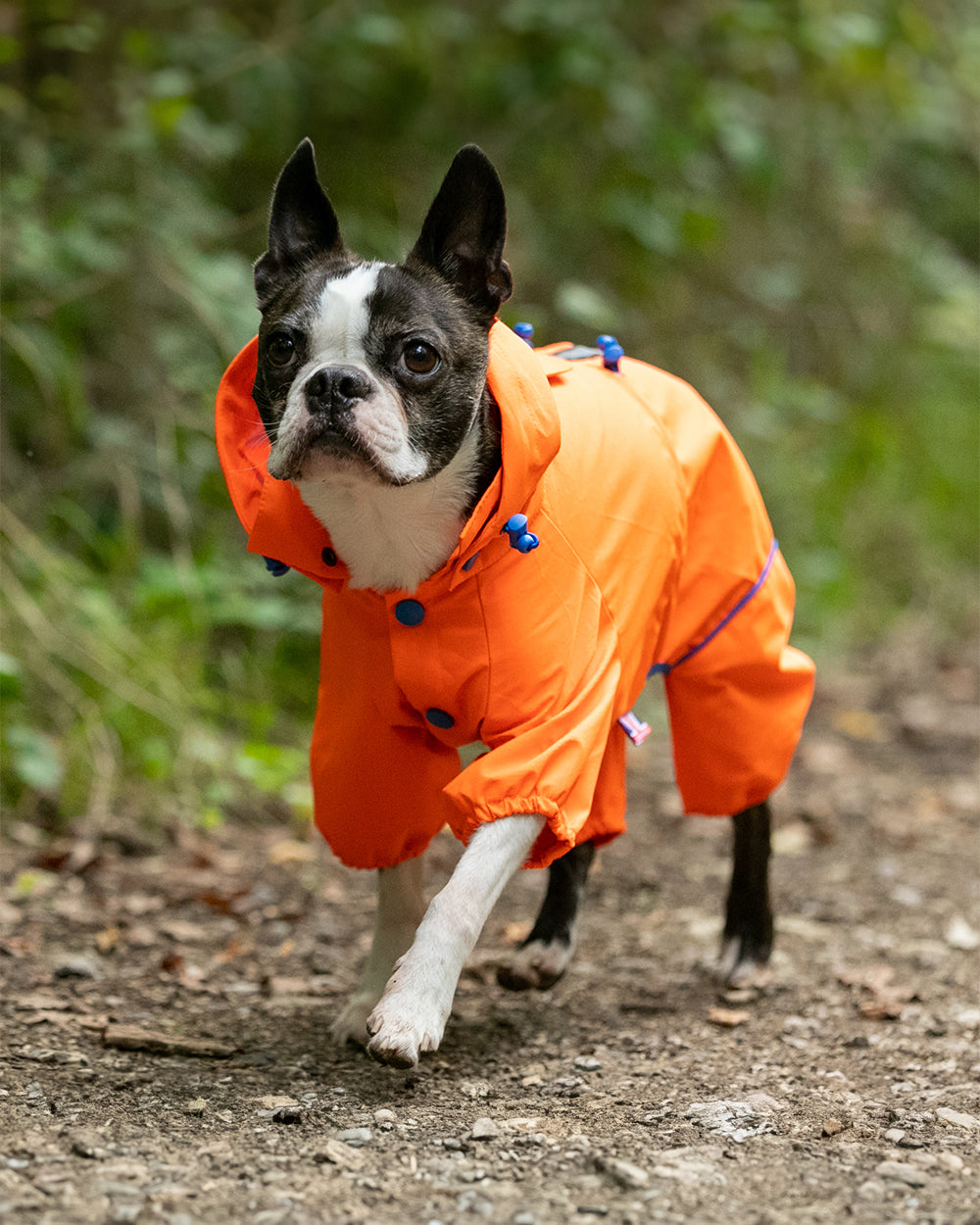 Reflective Hooded Dog Overalls - Neon Orange – Hugo & Hudson London