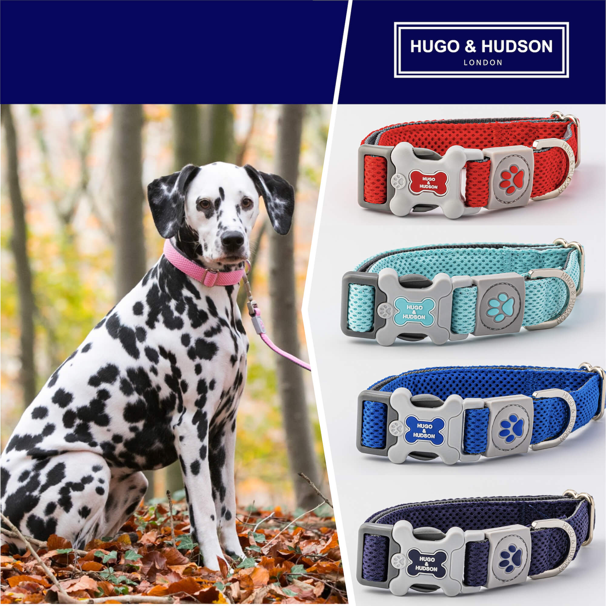 Mesh Dog Collar - Green – Hugo & Hudson London