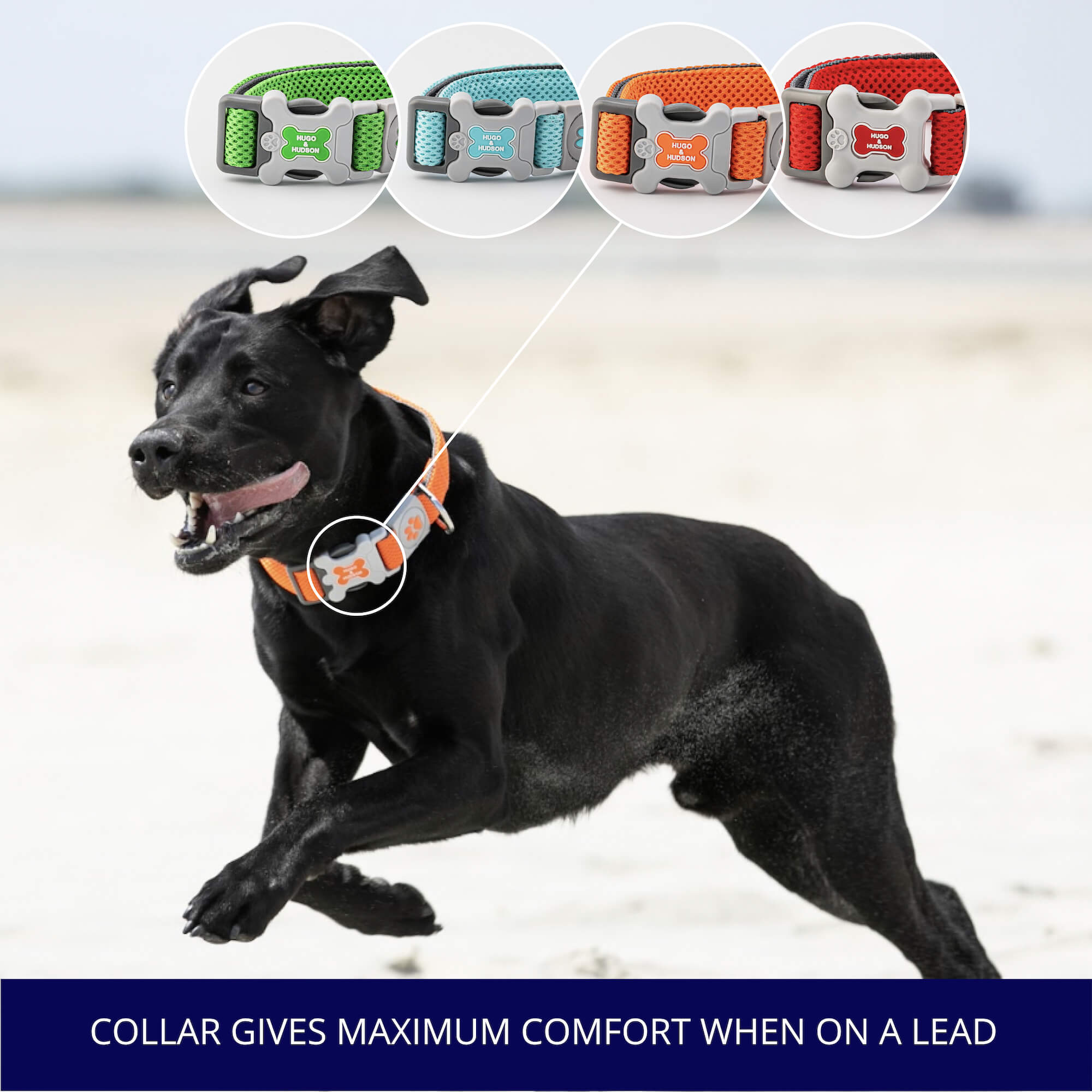 Mesh Dog Collar - Green – Hugo & Hudson London