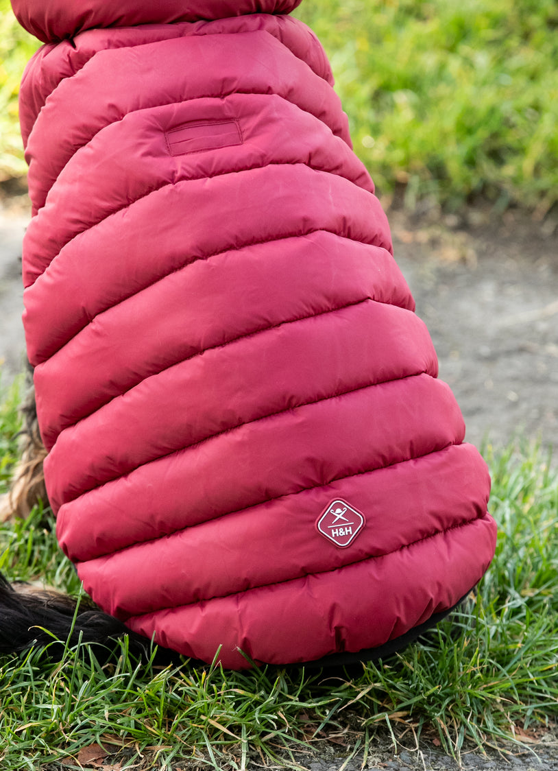 Forest Green & Gold Dog Puffer Jacket – Hugo & Hudson London