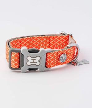 Hugo & Hudson x Hackett Dog Collars – Hugo & Hudson London