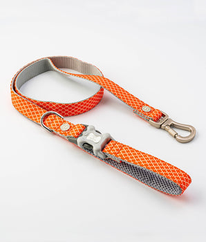 Hugo & Hudson x Hackett Dog Lead – Hugo & Hudson London
