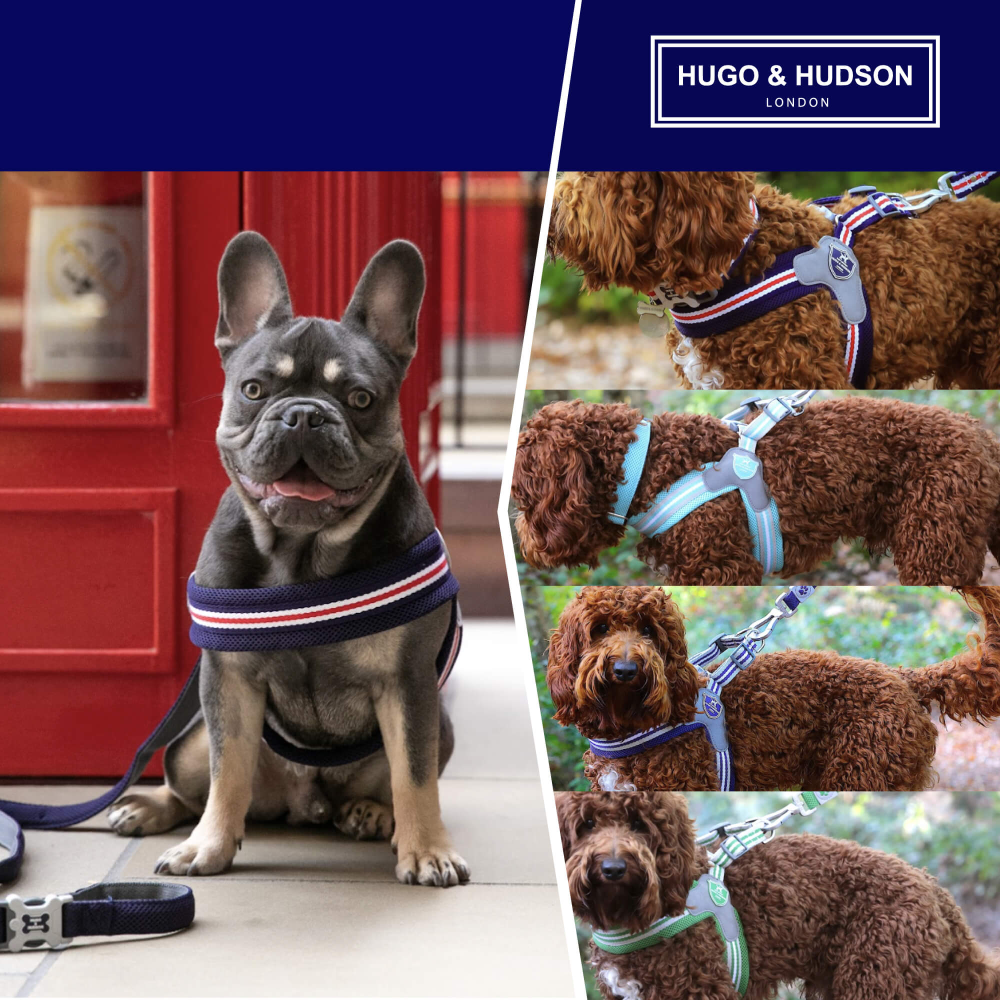 Easy Walk V Dog Harness - Red – Hugo & Hudson London