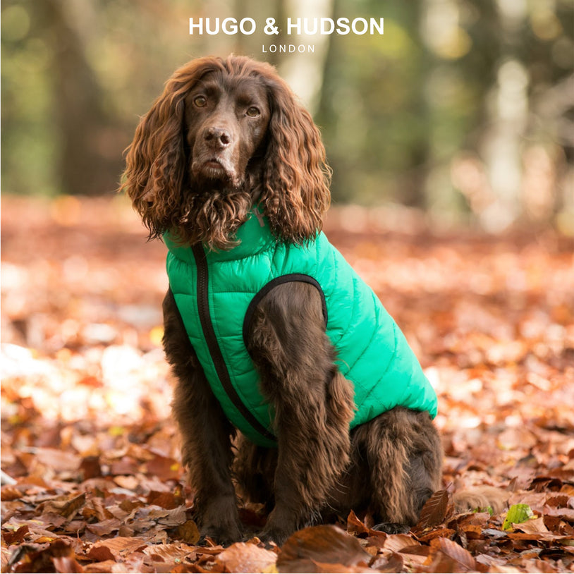 Reversible Dog Puffer Jacket - Red and Navy – Hugo & Hudson London