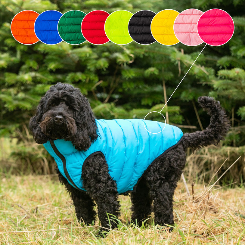 Red and Navy Dog Puffer Jacket – Hugo & Hudson London